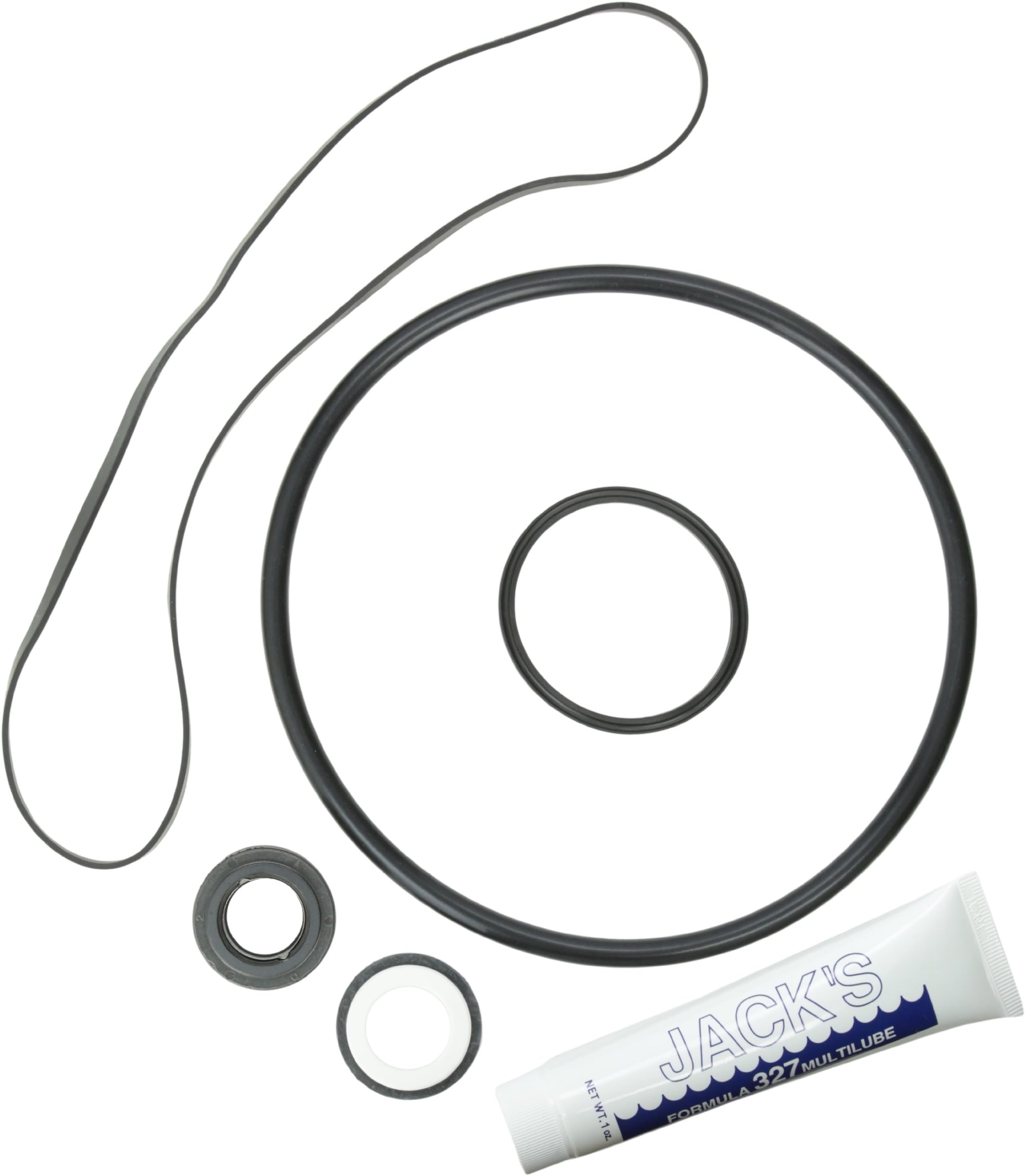 Amazon.com: Hayward SPXHKIT100 Quick Pump Repair Replacement Kit for ...