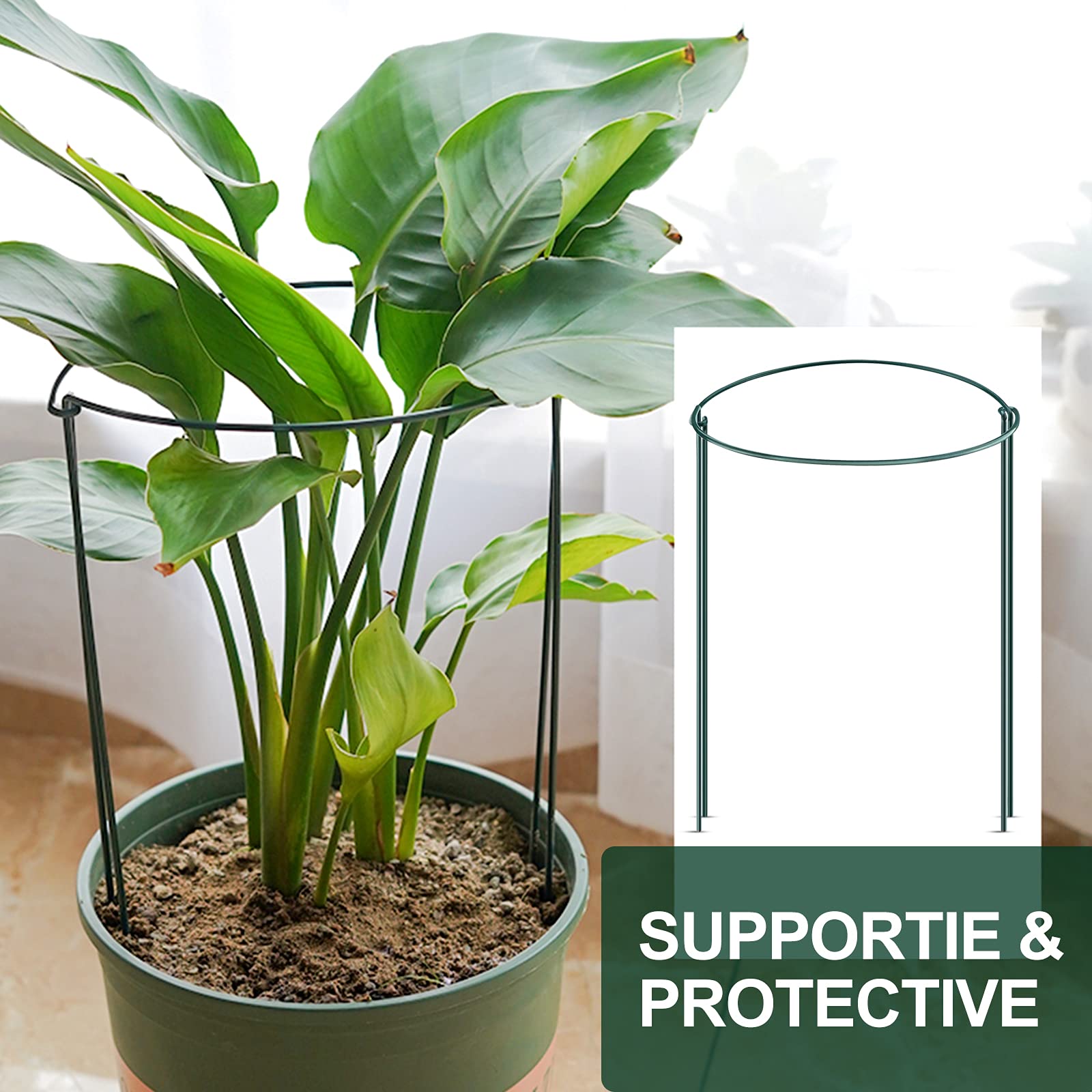 Snapklik.com : 20 Pack Garden Plant Support Stake, 10" Wide X 16" High ...