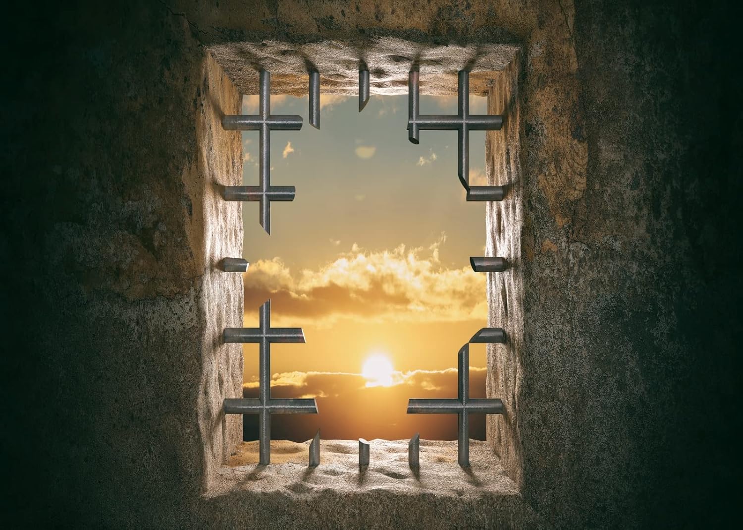 Amazon.com : BELECO 6x4ft Fabric Prison Window Photography Backdrop ...