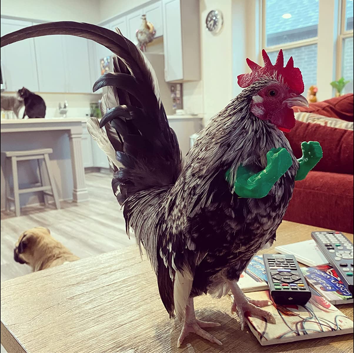 Grappige Kip Memes Super Cluck Co. Cluck Smash Superhero Chicken Arms