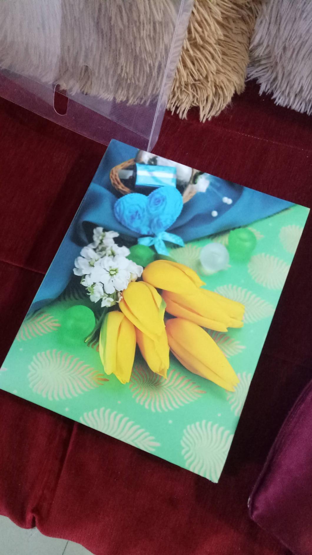 Buy NATRAJ Plastic Photo Album (4x6 inch, Multicolour) Online at Low ...