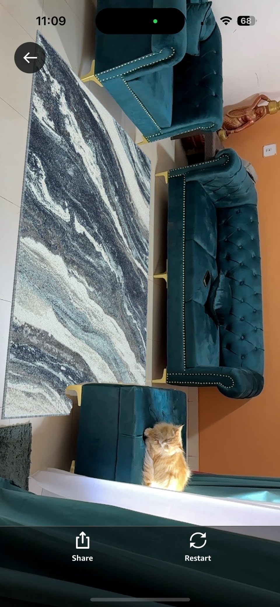 Sky Rise Decor Engineered Wood Modern Classic 4 Seater Fabric&Valvet ...