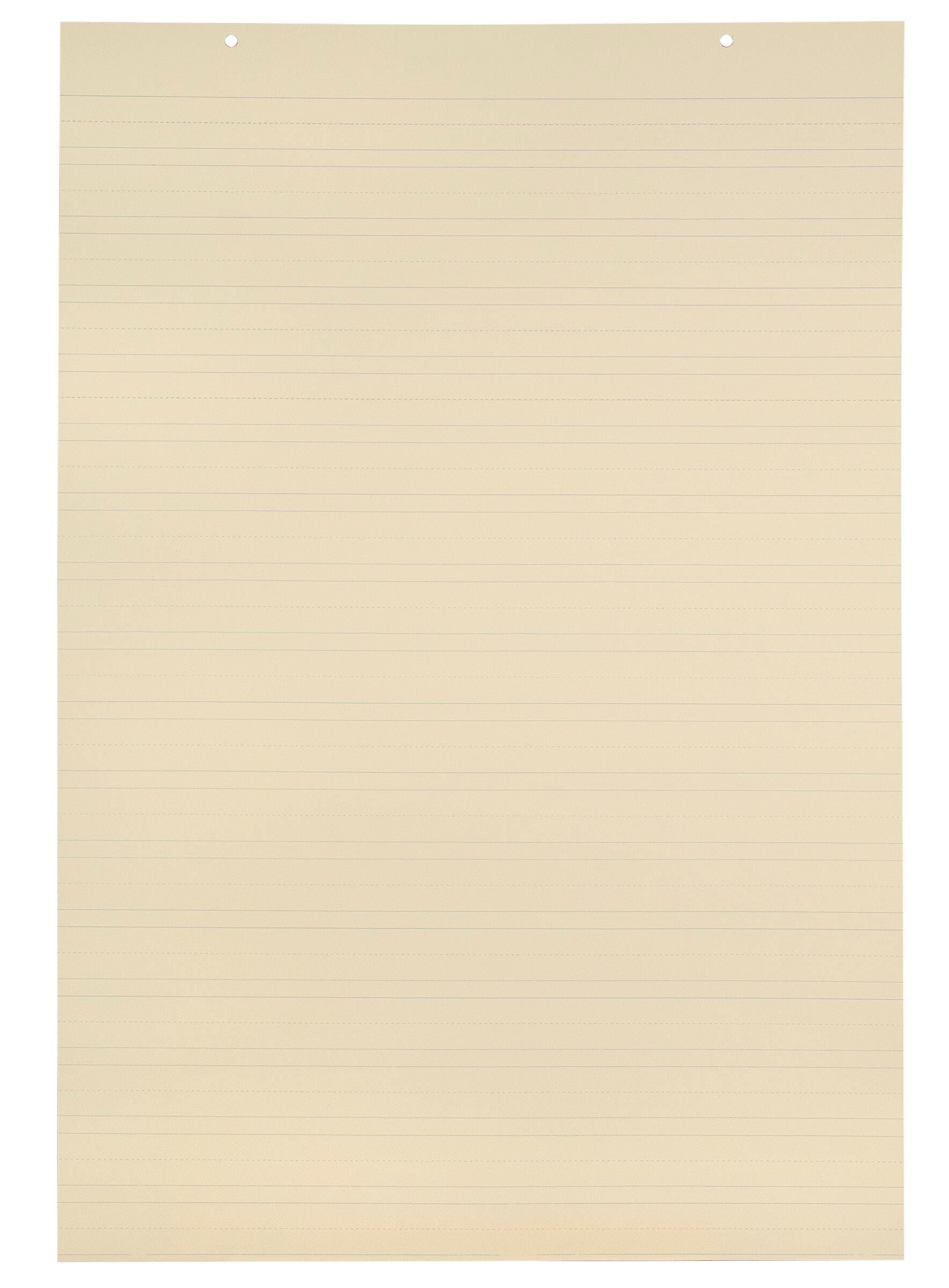 School Smart Jumbo Manila Tag Ruled Chart Paper 36 X | Desertcart INDIA