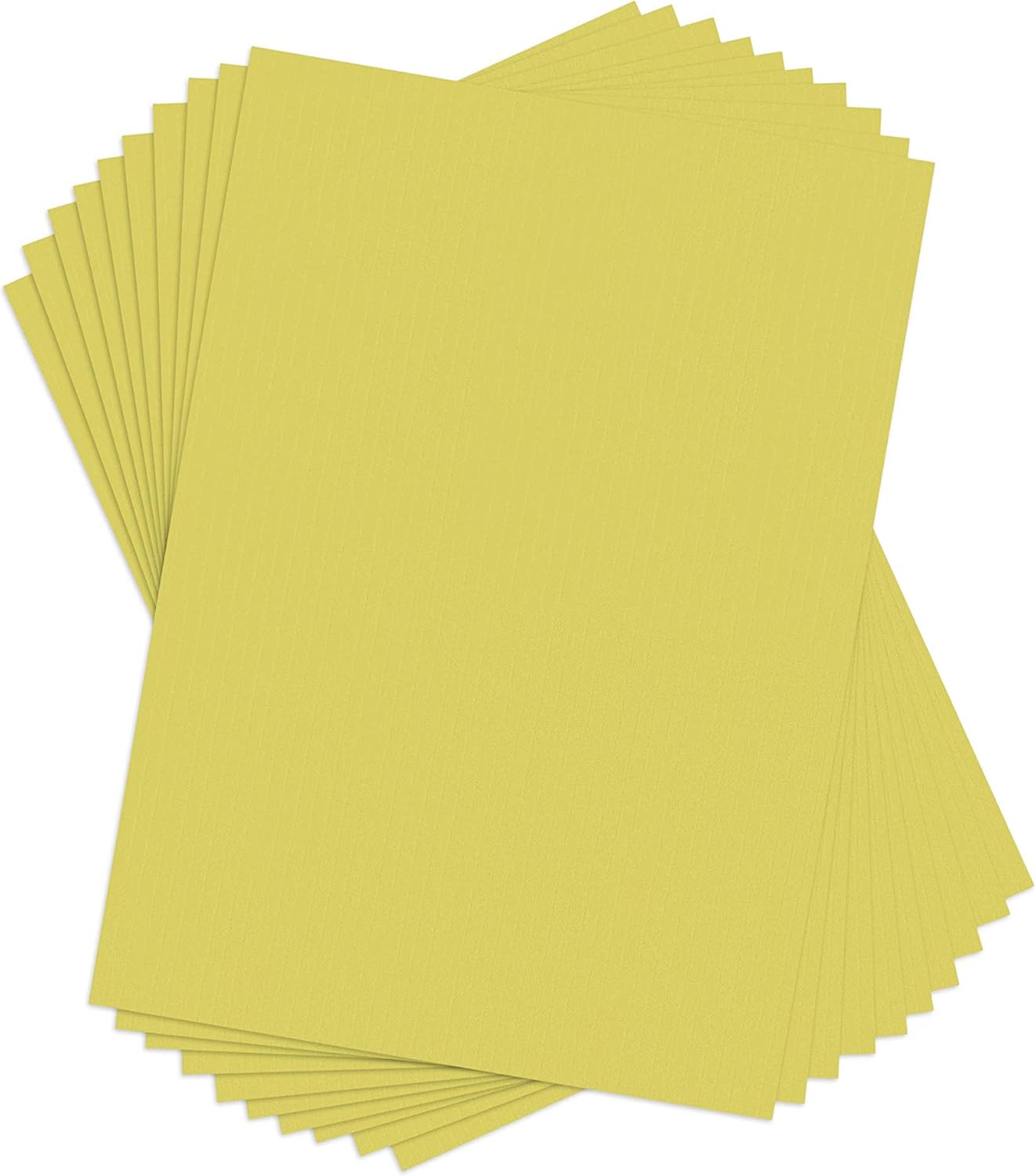 Amazon.com: Excelsis Design, Coroplast Sheets (Multipacks, Various ...