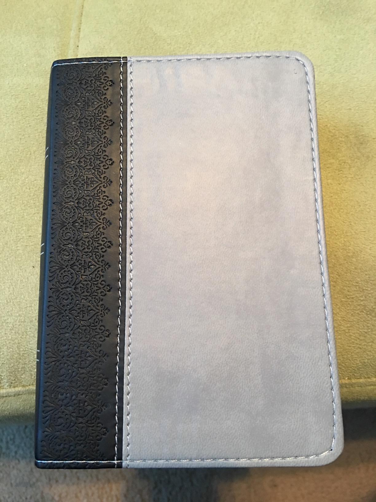 Amazon.com: HCSB Large Print Compact Bible, Charcoal LeatherTouch ...
