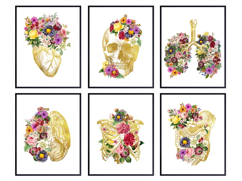 Amazon.com: Human Anatomy Poster Set - Graduation Gift for Nurse ...