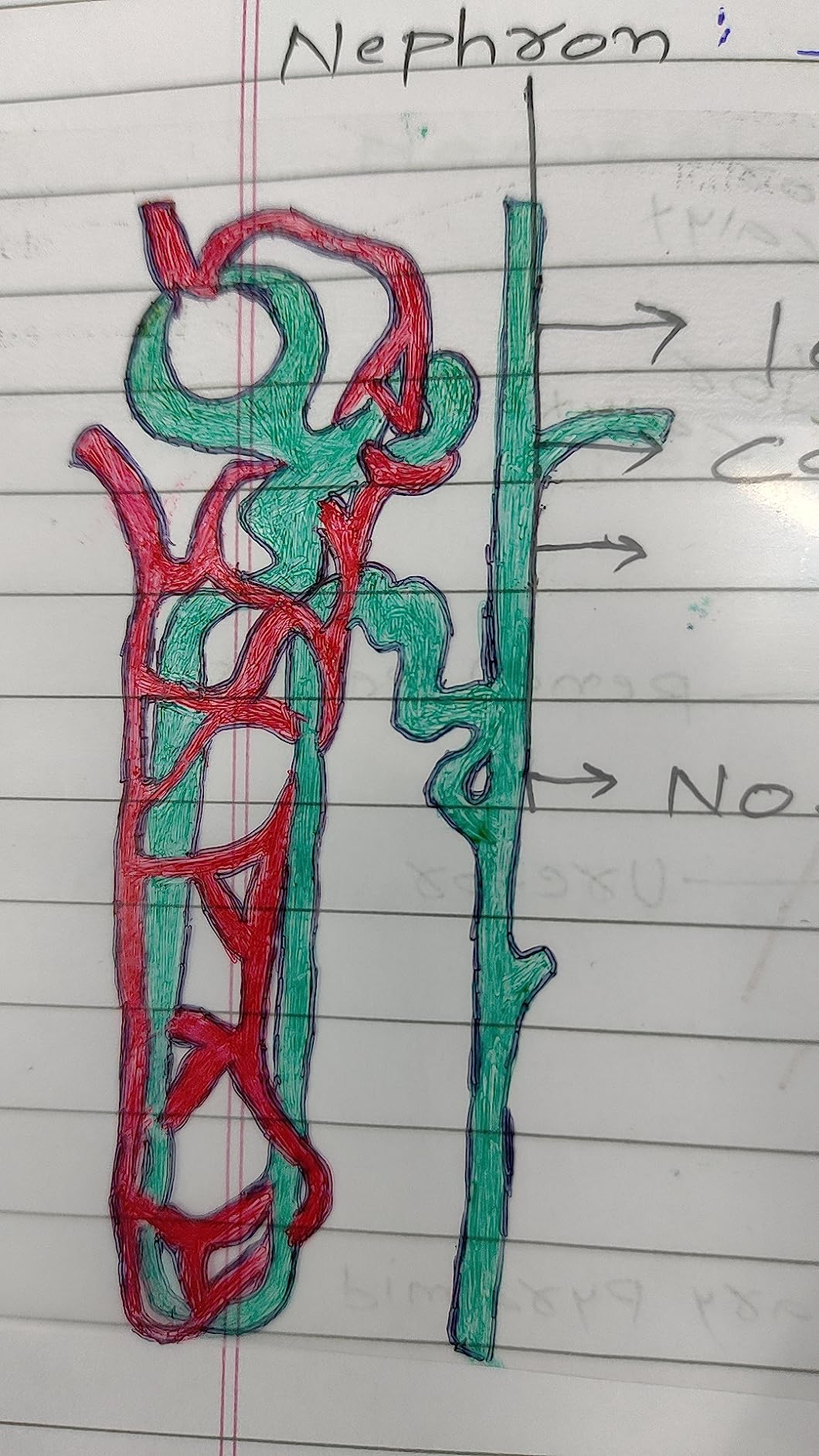 Levin 100 Sheets Transparent Sticky Notes Pad, Translucent Sticky Notes ...