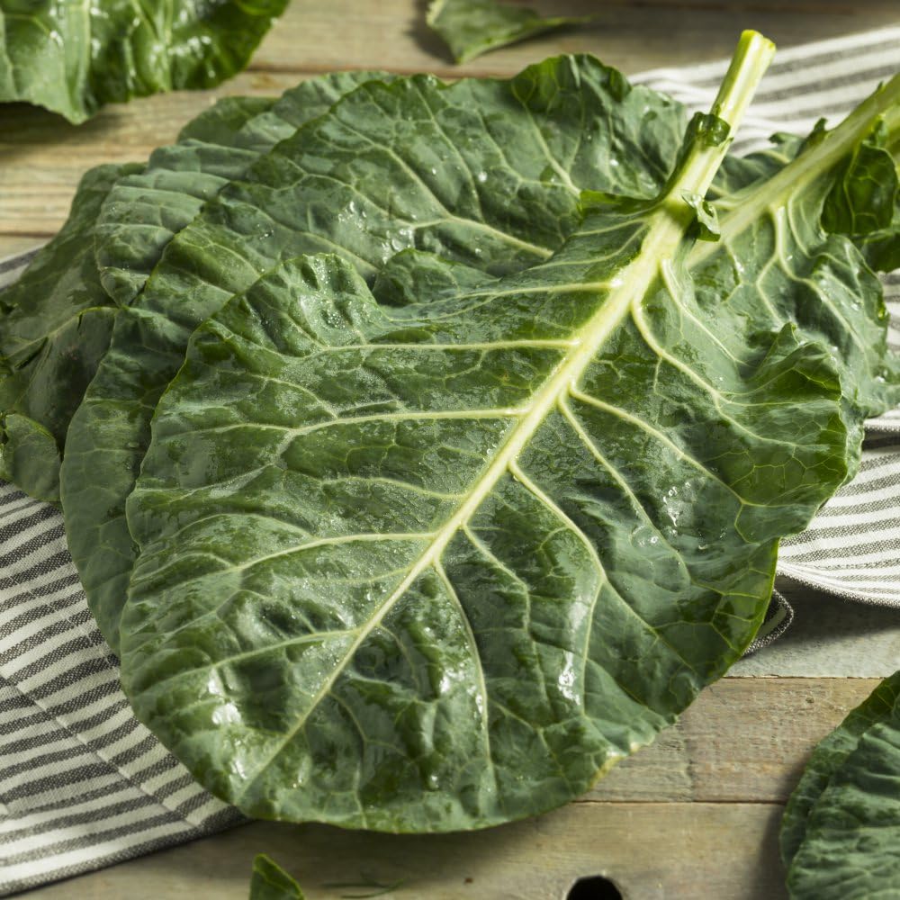 Collard 'Hi-Crop' F1 Seeds - Nutrient-Rich, Versatile Non-Heading ...