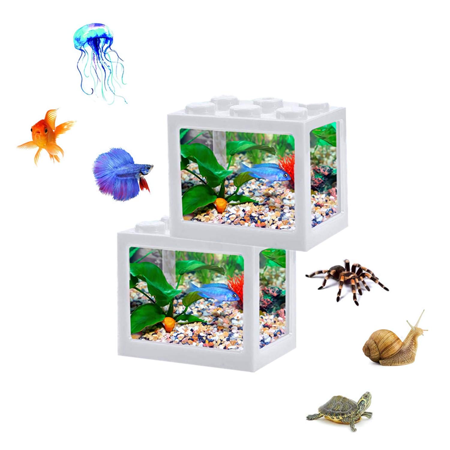 Cool Fish Tanks For Kids