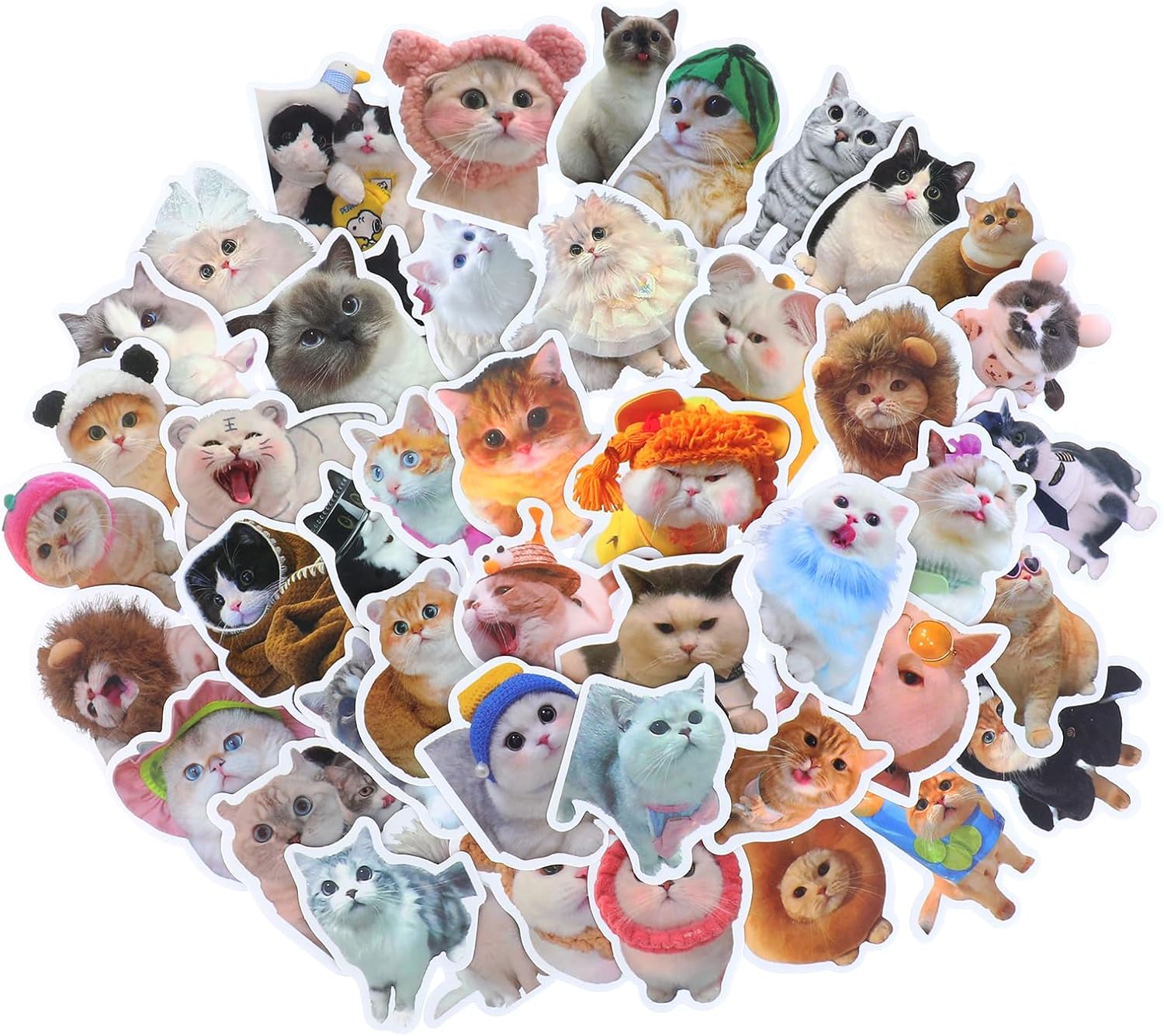 Amazon.com: 100pcs Cat Stickers Cute Animal Pet Stickers Waterproof ...