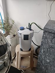 Sunsun HW-303A Aquarium Canister Filter Sunsun, 1 Piece : Amazon.in ...