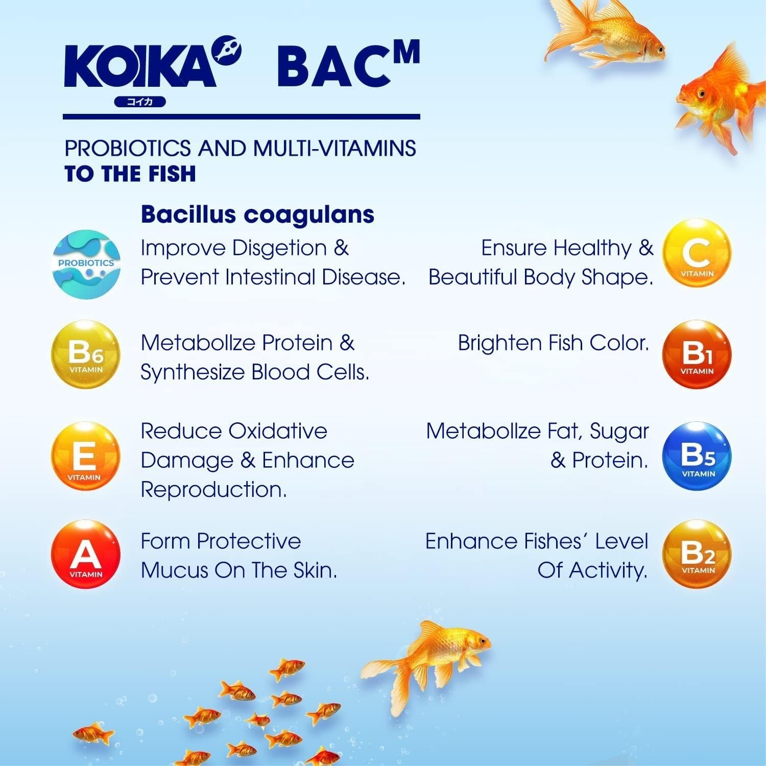 KOIKA BACM – Mejora de color natural para peces, combinación de ...