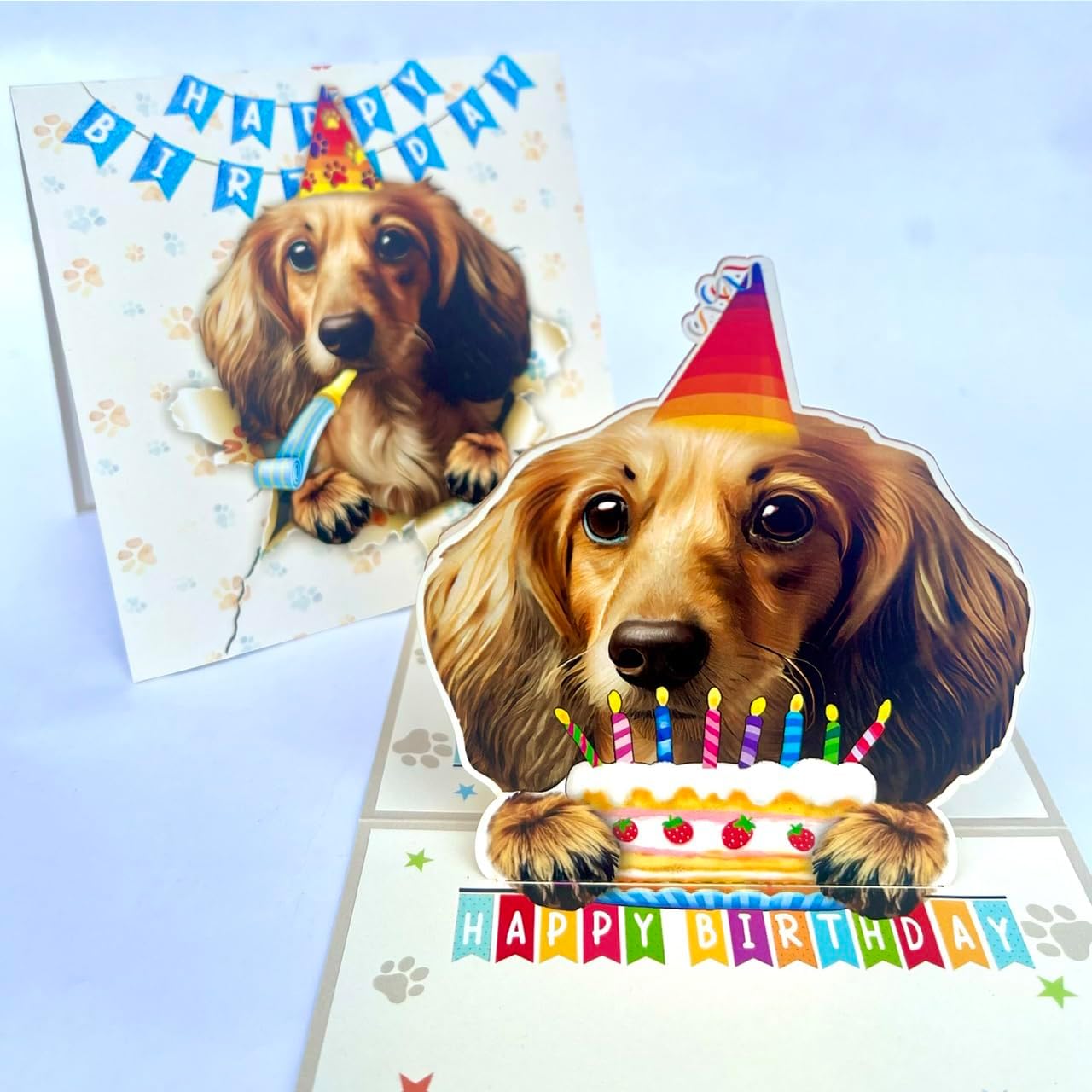 Amazon.com : Momapopup 3D Pop-Up Long Haired Dachshund Dog Birthday ...