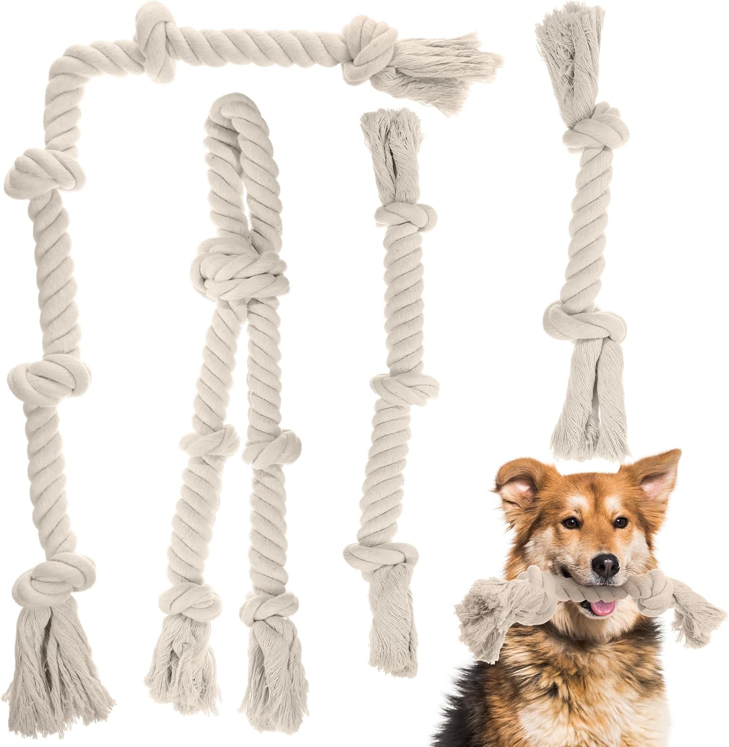 Pet Supplies : Glimin Cotton Rope Dog Toys - White, Interactive Knots ...