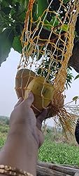 AGROMARK Mango Plucker with net/Fruit Picker/Fruit Harvester (5-7 kg ...