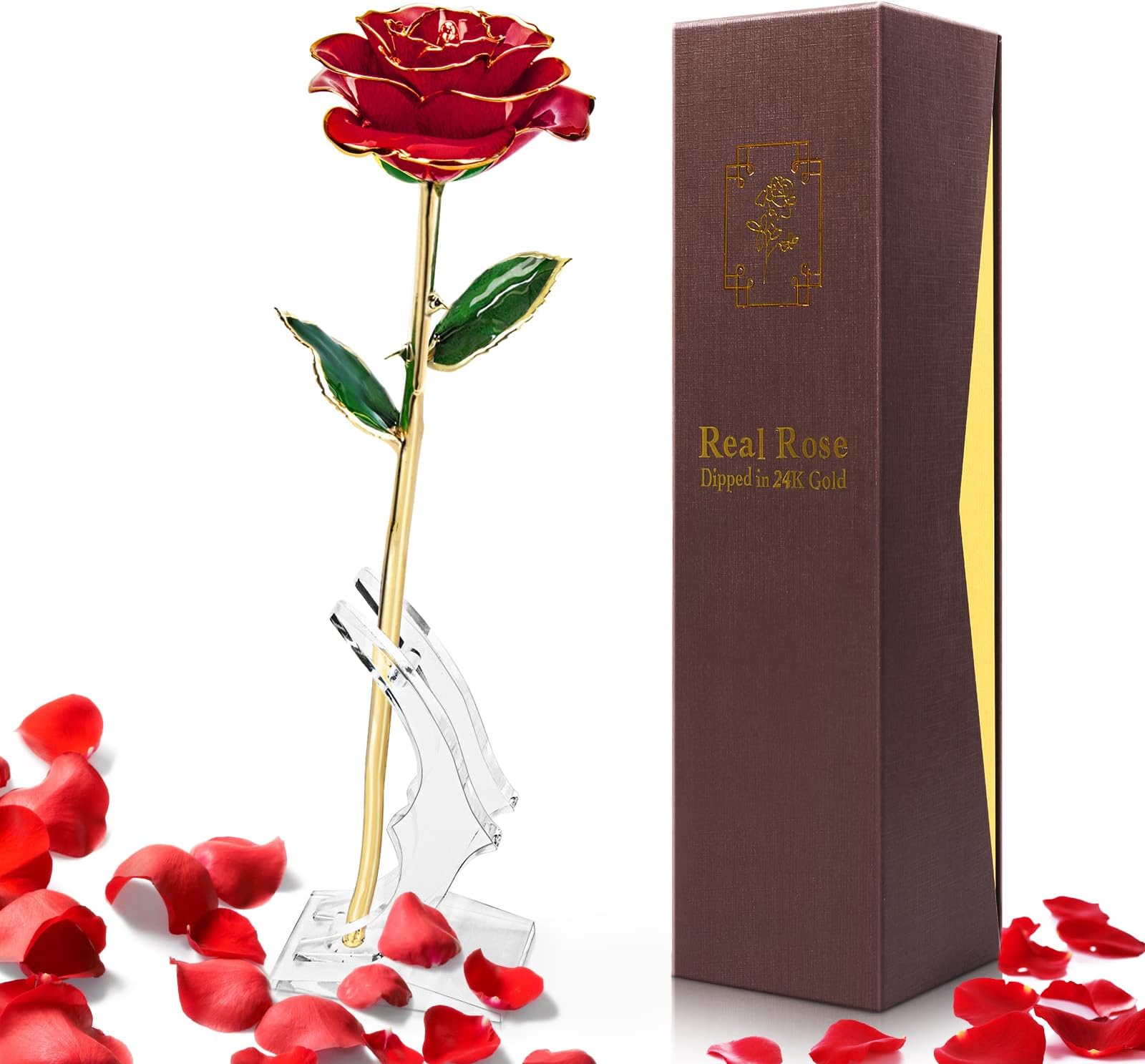 Amazon.com: Suturun Gold Dipped Rose,24K Gold Rose with Transparent ...