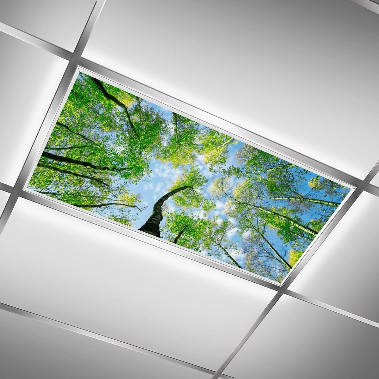 Amazon.com: 2 Pack Fluorescent Light Cover for Ceiling Light - Magnetic ...