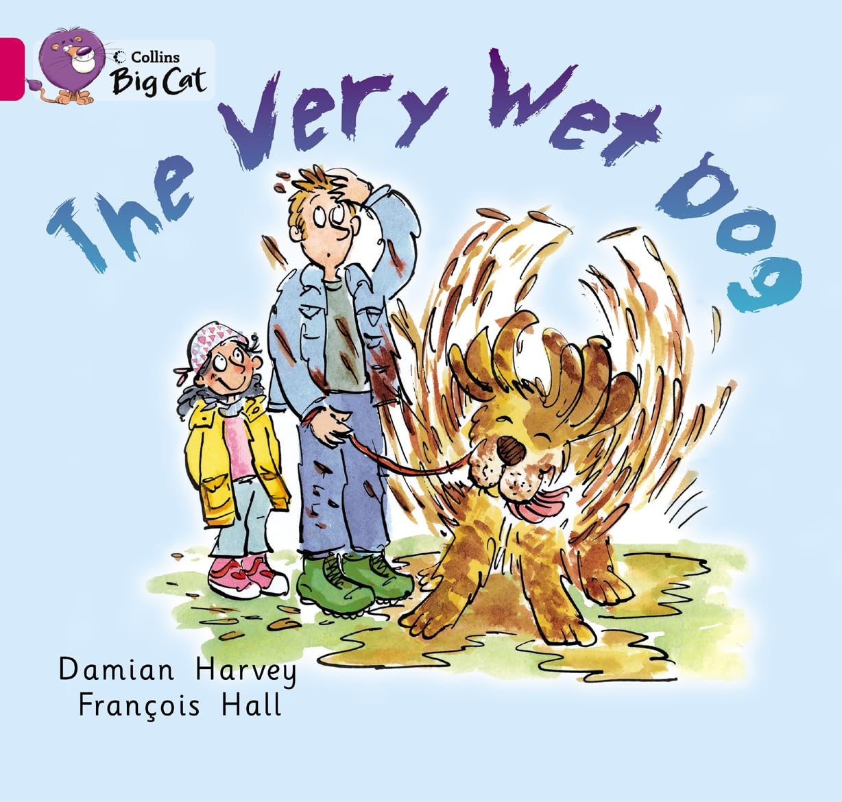 The Very Wet Dog Workbook (Collins Big Cat): Harvey, Damian, Hall ...