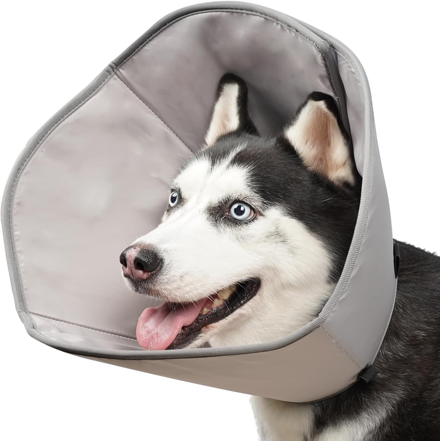 Amazon.com : XL Grey Inflatable Cone and Fabric Dog Cone Bundle for ...