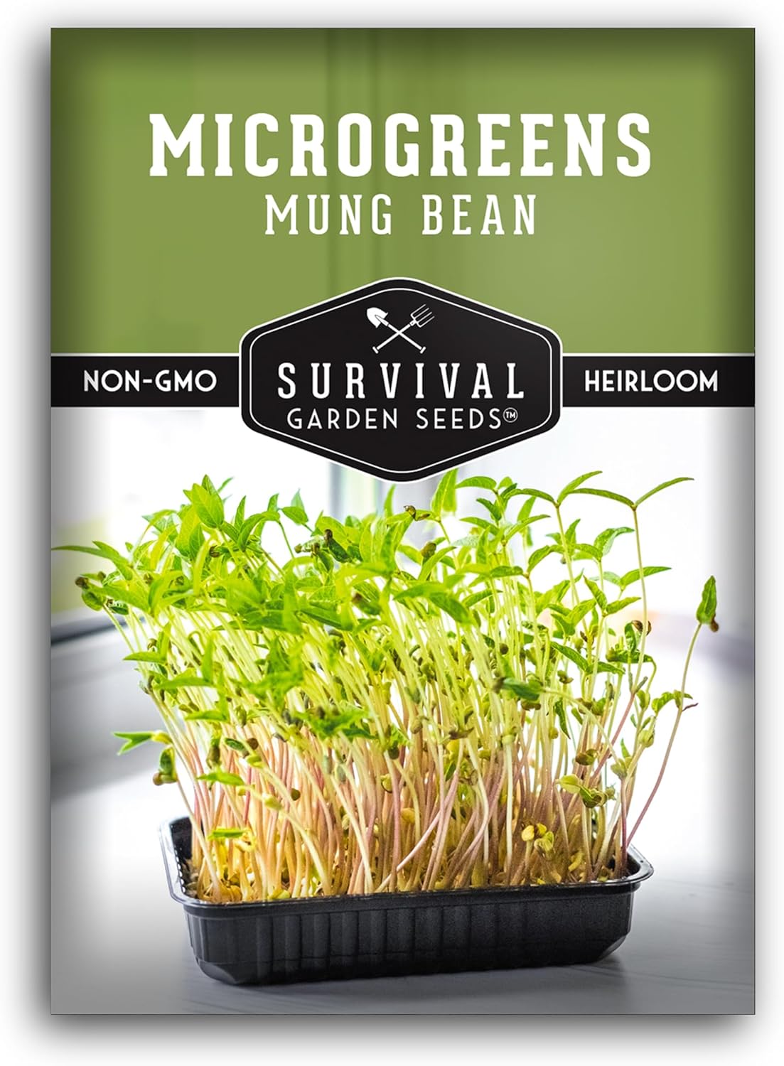 Amazon.com : 1 Pack Mung Bean Microgreens Seeds for Planting and ...
