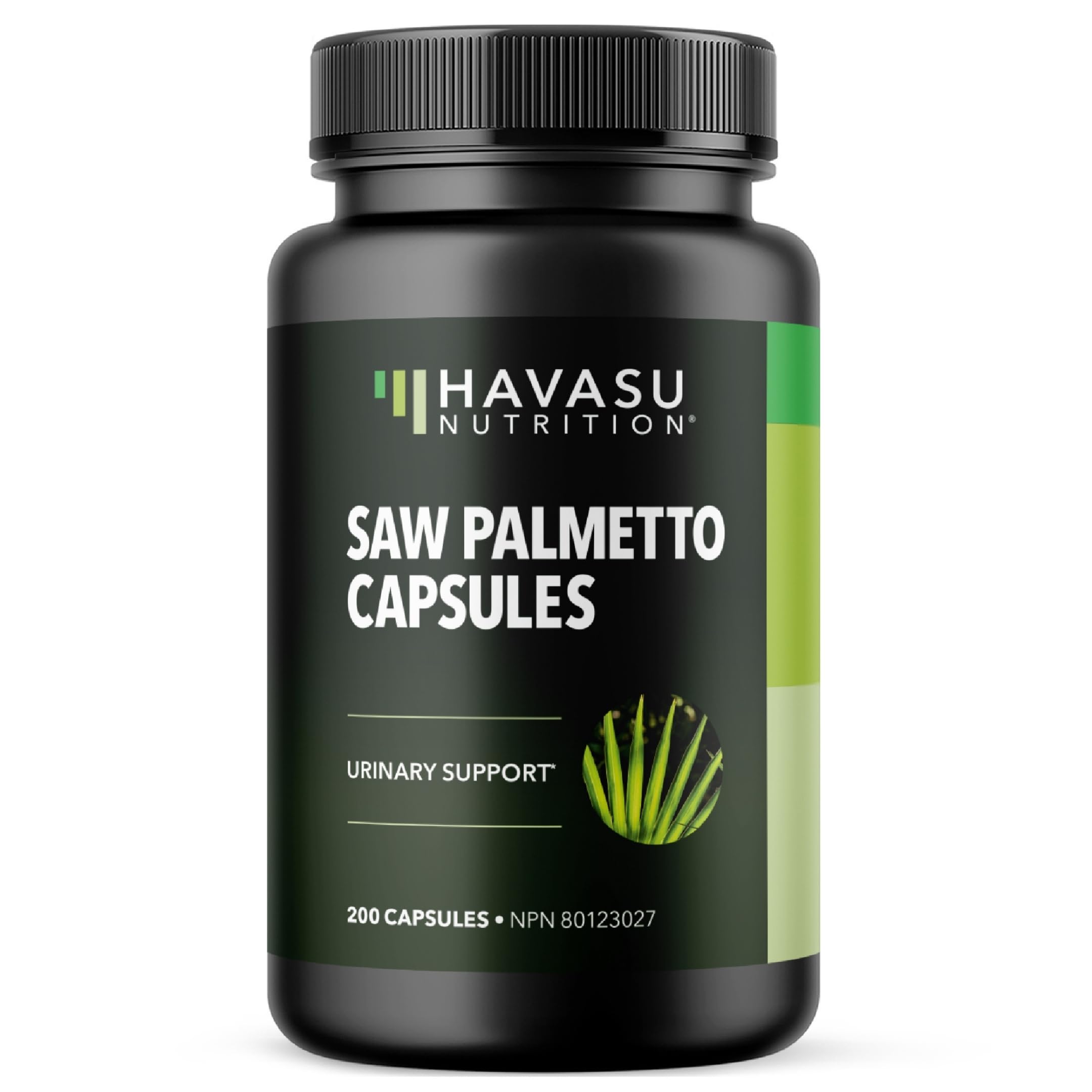 Saw Palmetto for Men | Prostate Health, Urinary, Bladder & Hair Support ...