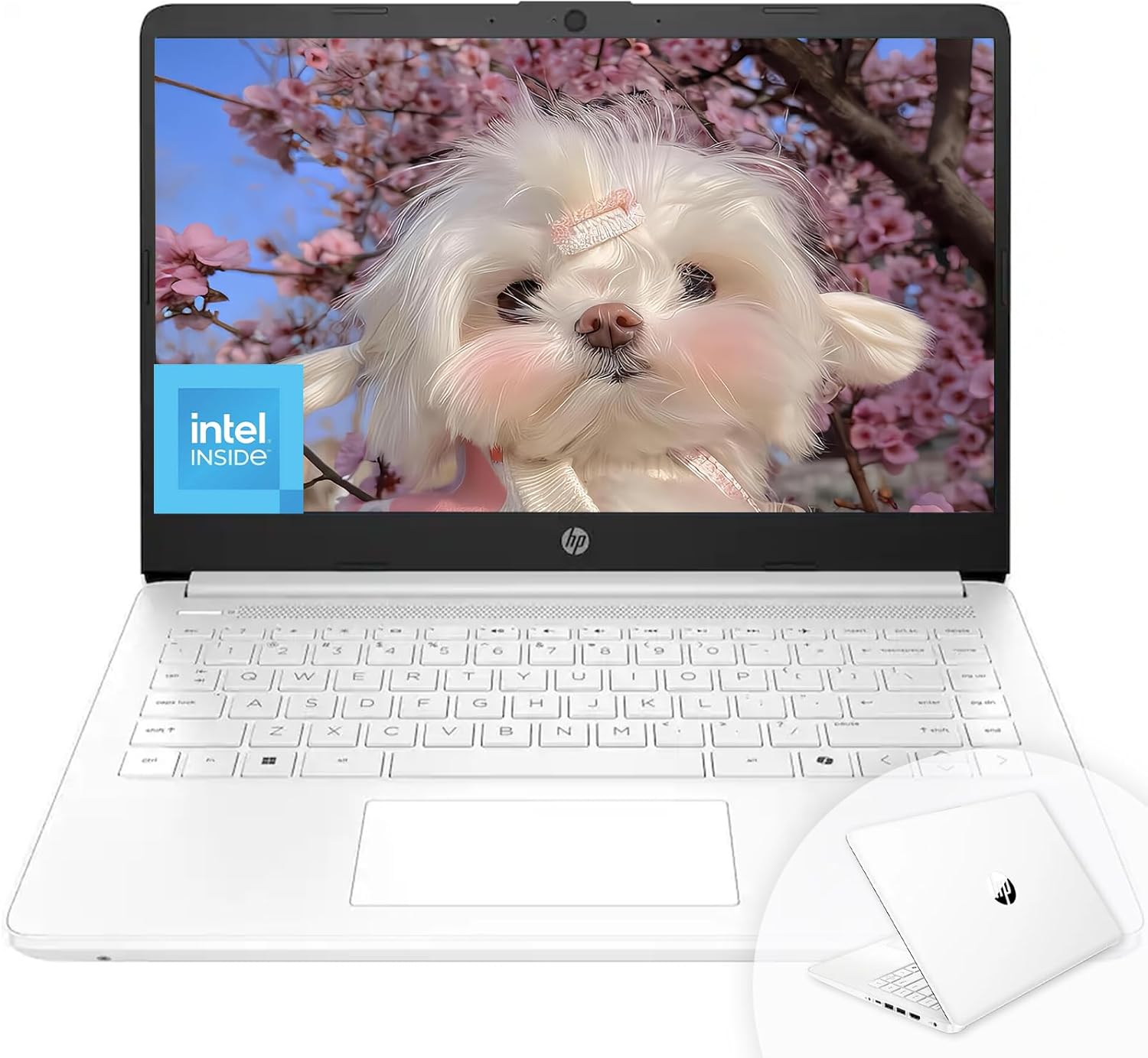 Amazon.com: HP 14" HD Student Business Laptop, Intel Quad-Core N4120 ...