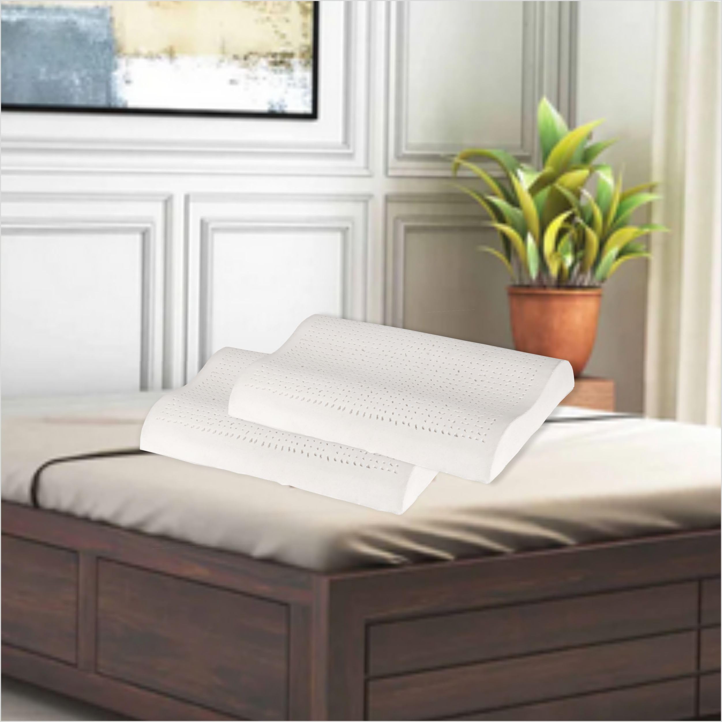 ORGANIC SLEEP Contour Pillow, 100% Natural Latex, Size 24x16 Inch ...