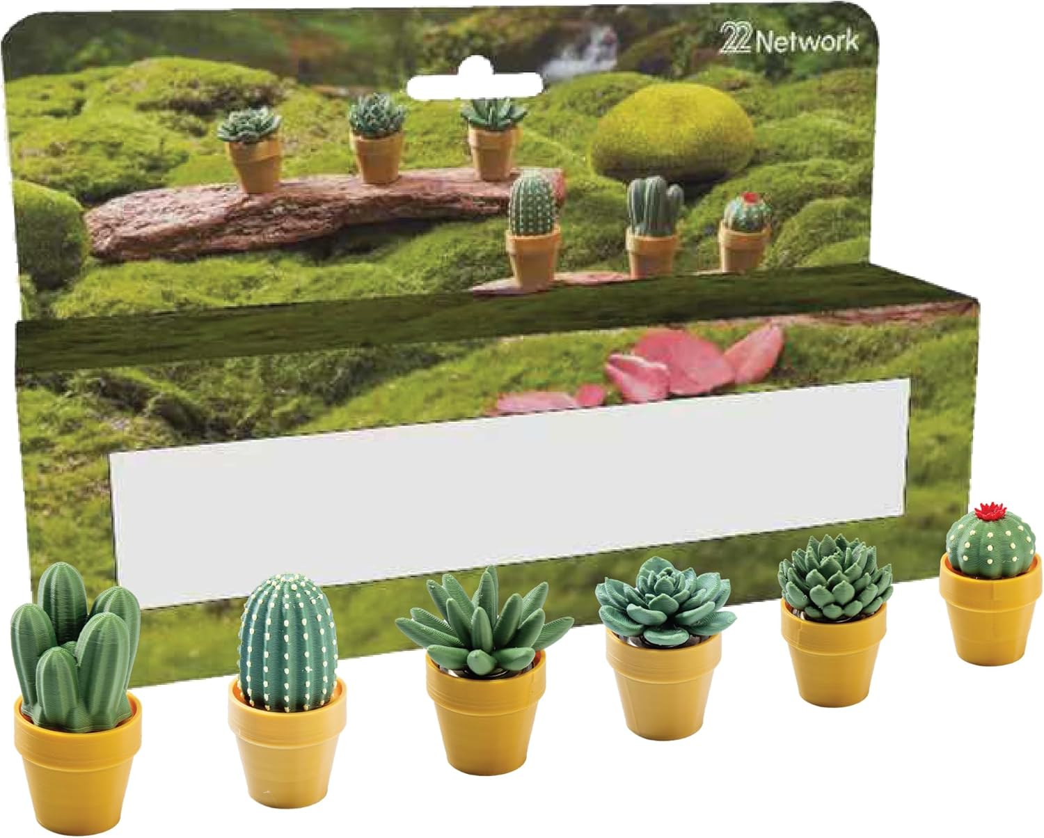 Amazon.com: 3D Printed Desert Plant Stress Relief Fidget Toys, Six ...