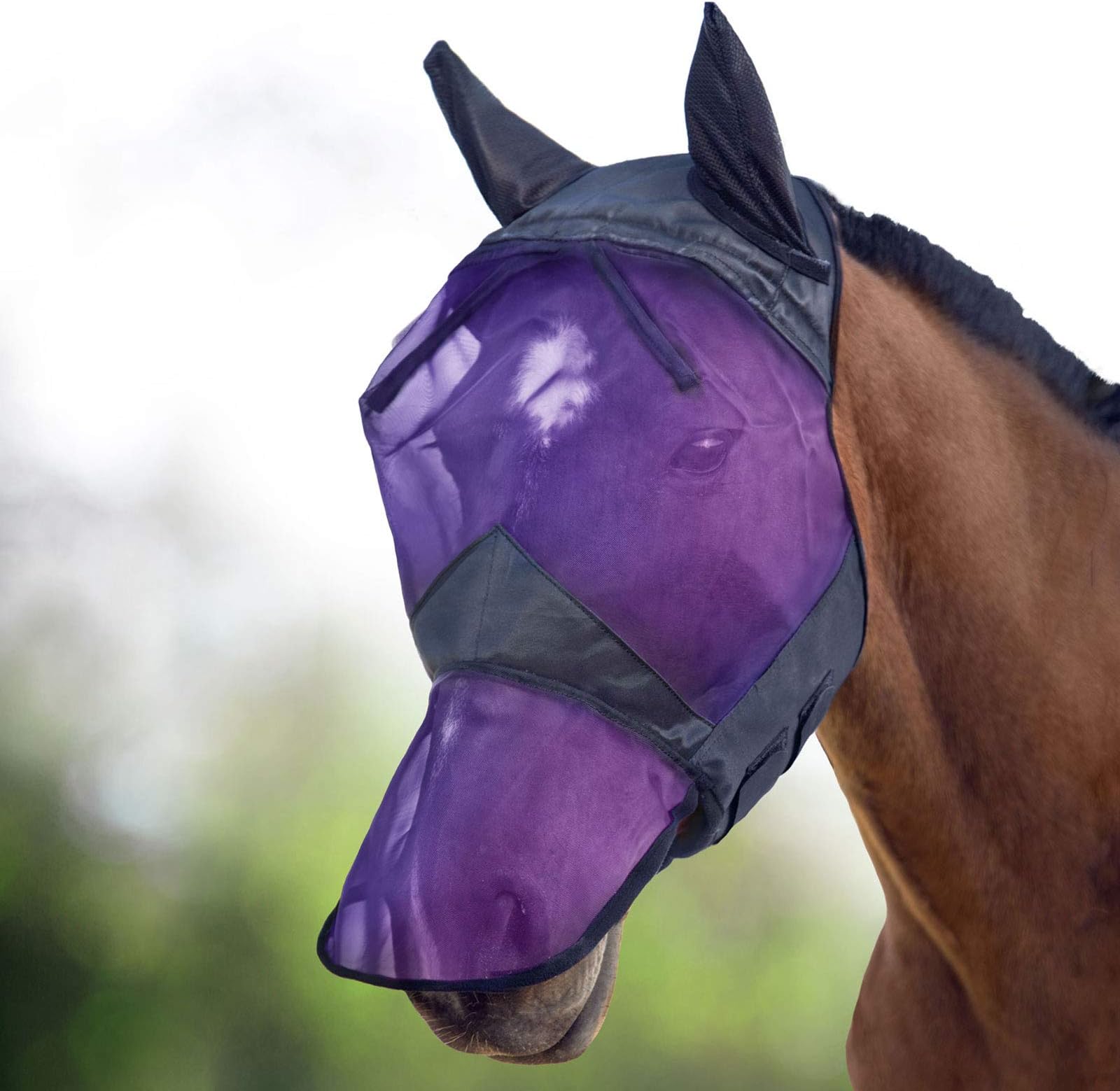 Amazon.com: Harrison Howard Horse Fly Mask Long Nose with Ears ...
