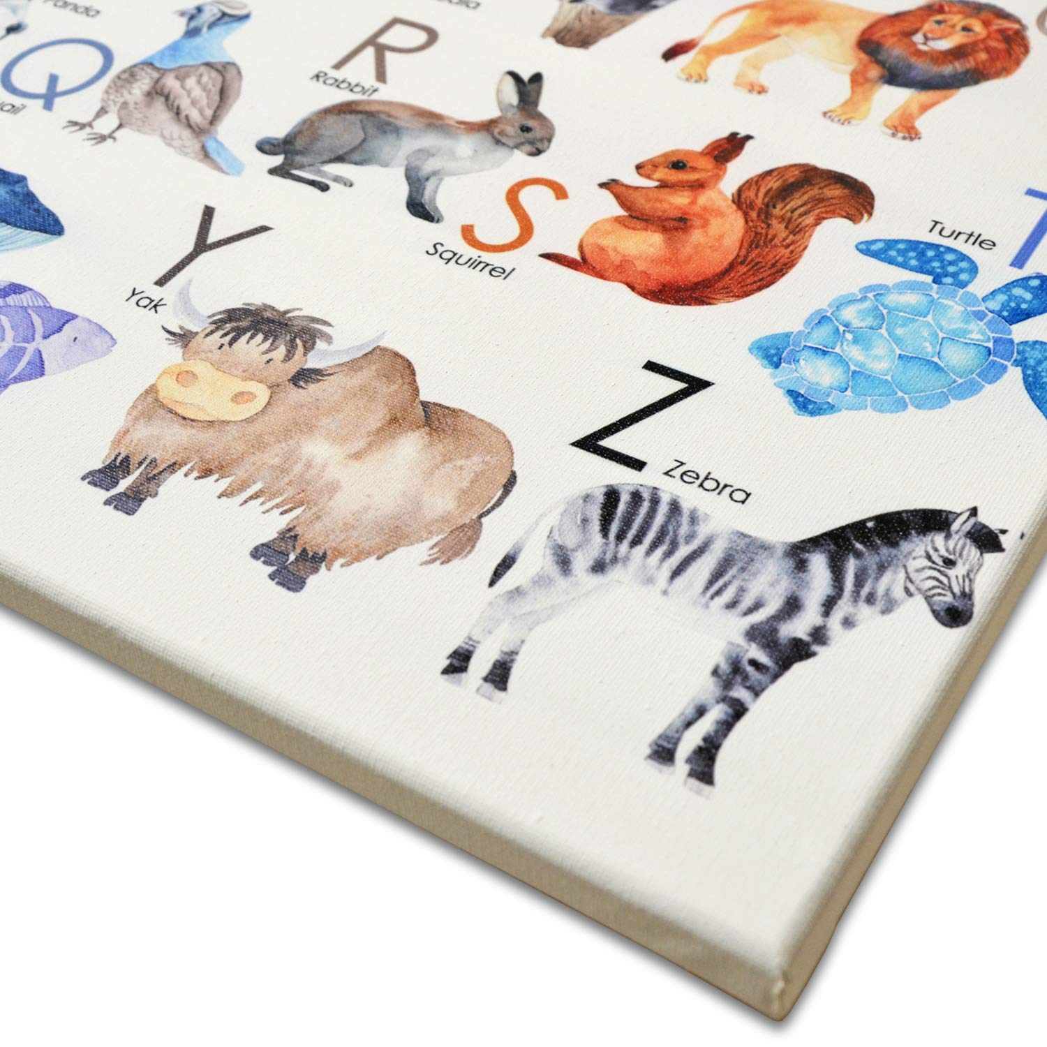 TEXTURE OF DREAMS Kids Alphabet Letters with Pictures on Large Canvas ...