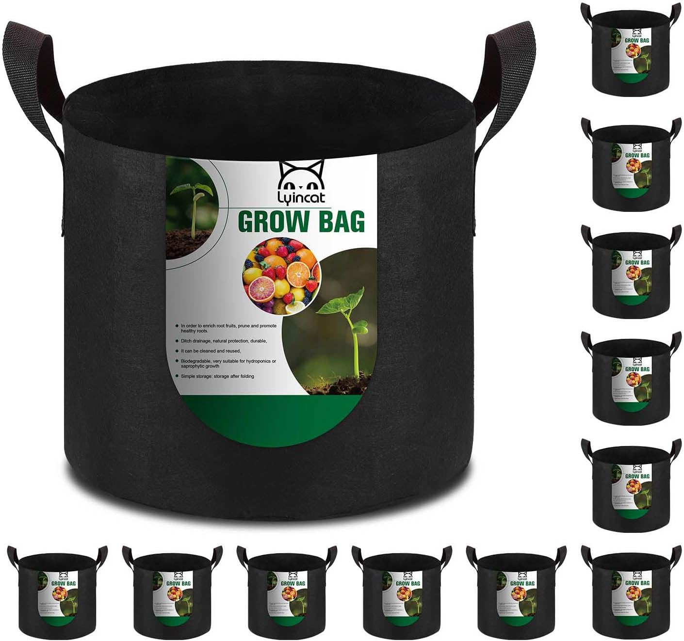 Amazon.com : Myco Labs Co2 Boost Self-Activated Mushroom Grow Bag for ...