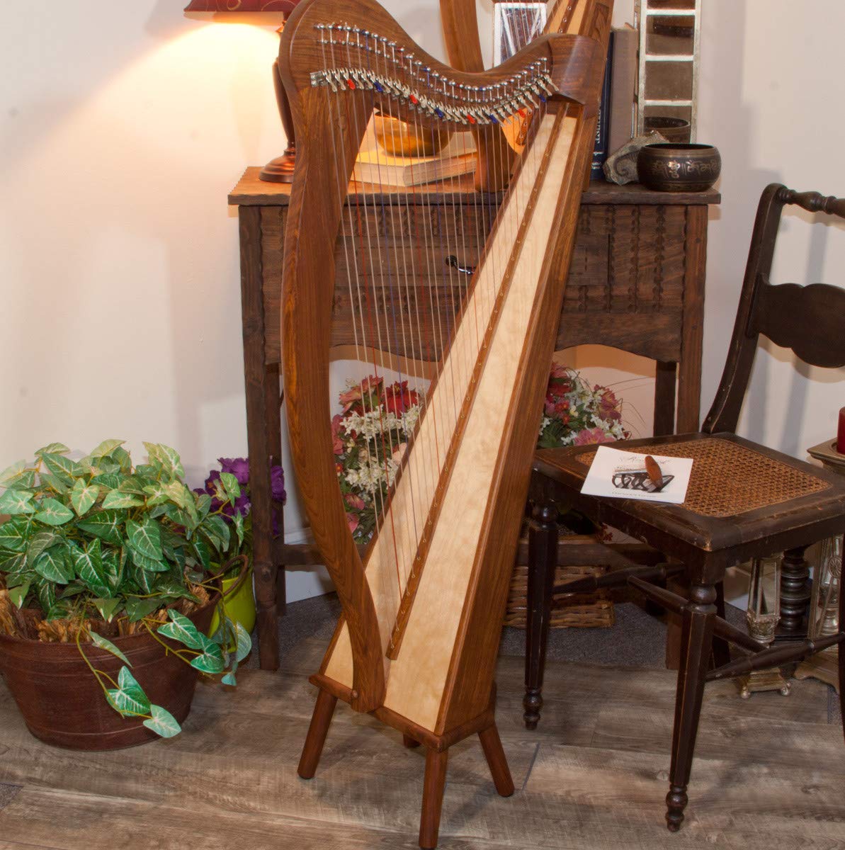 Harp Instrument Mexico