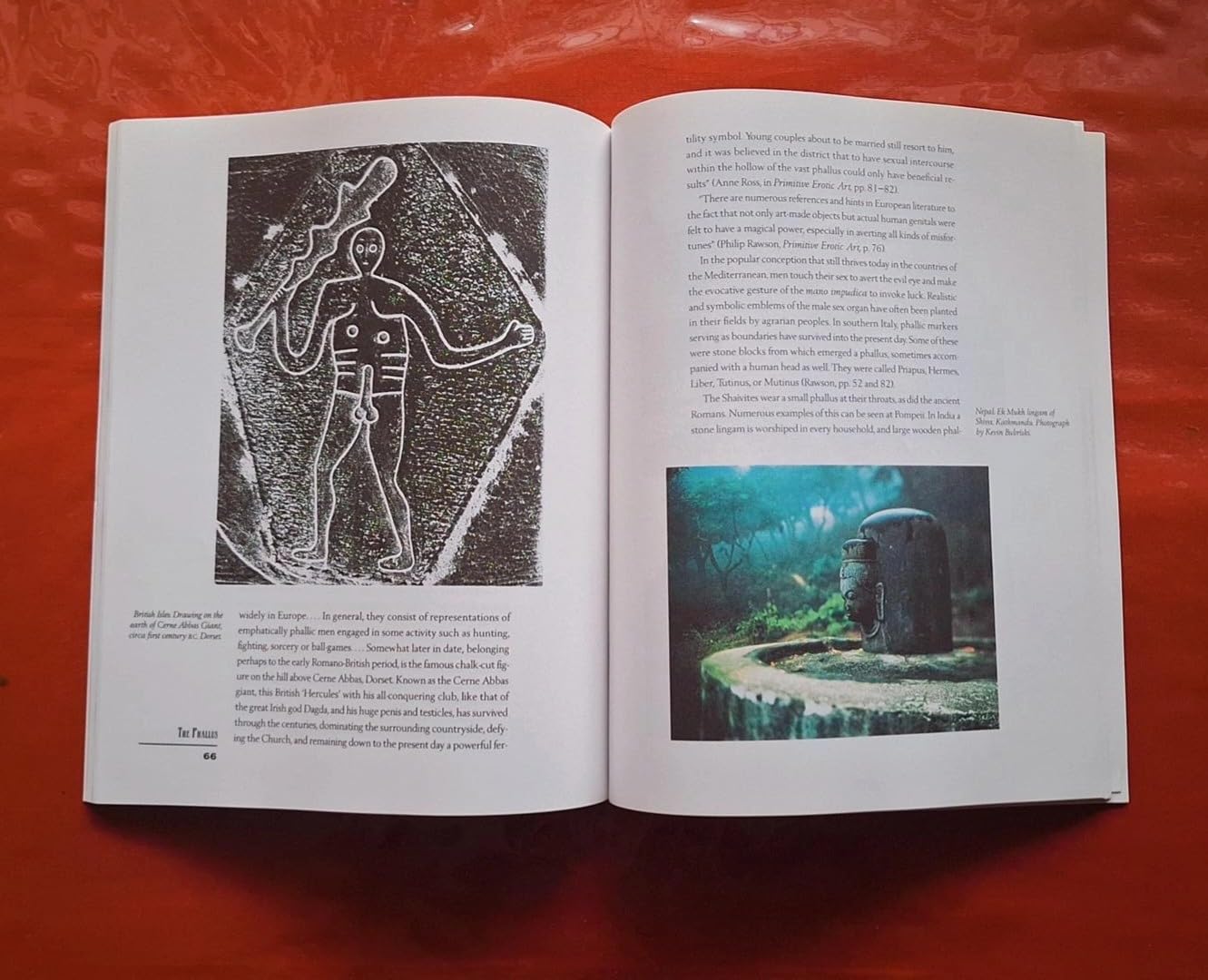 Buy PHALLUS,THE Book Online at Low Prices in India | PHALLUS,THE ...