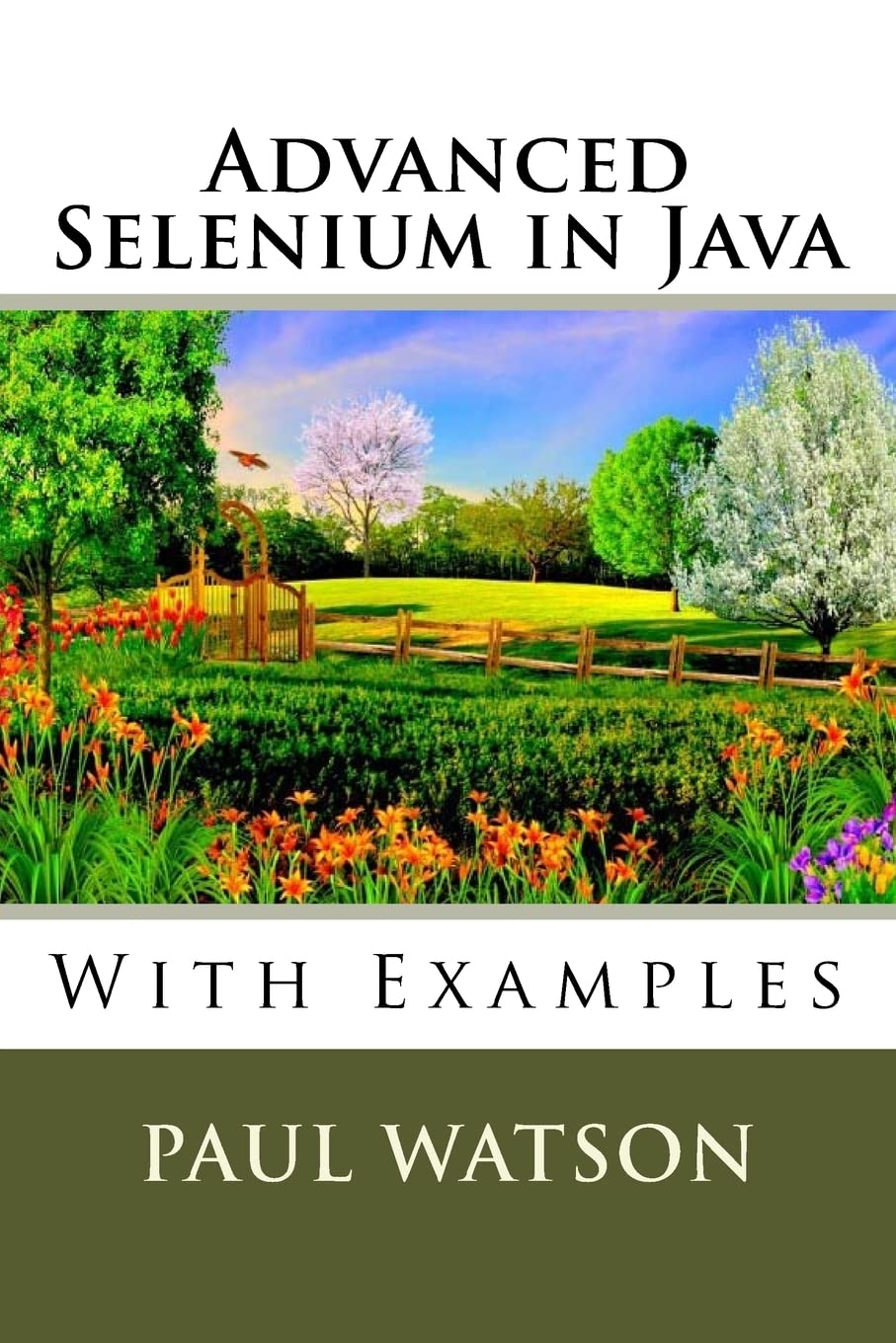 Advanced Selenium in Java: With Examples: Watson, Mr. Paul ...