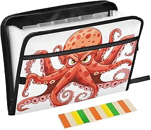 Amazon.com : Cartoon Angry Octopus File Folders,Plastic Folders with 13 ...
