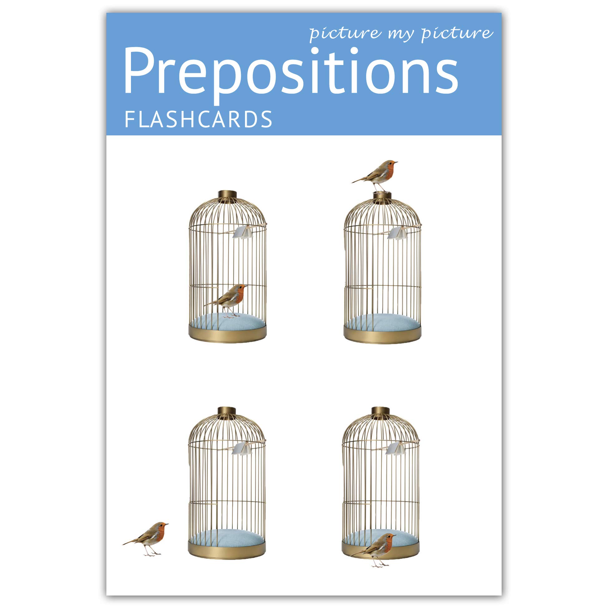 Buy Picture My Picture Prepositions Flash Cards | 40 Positional ...