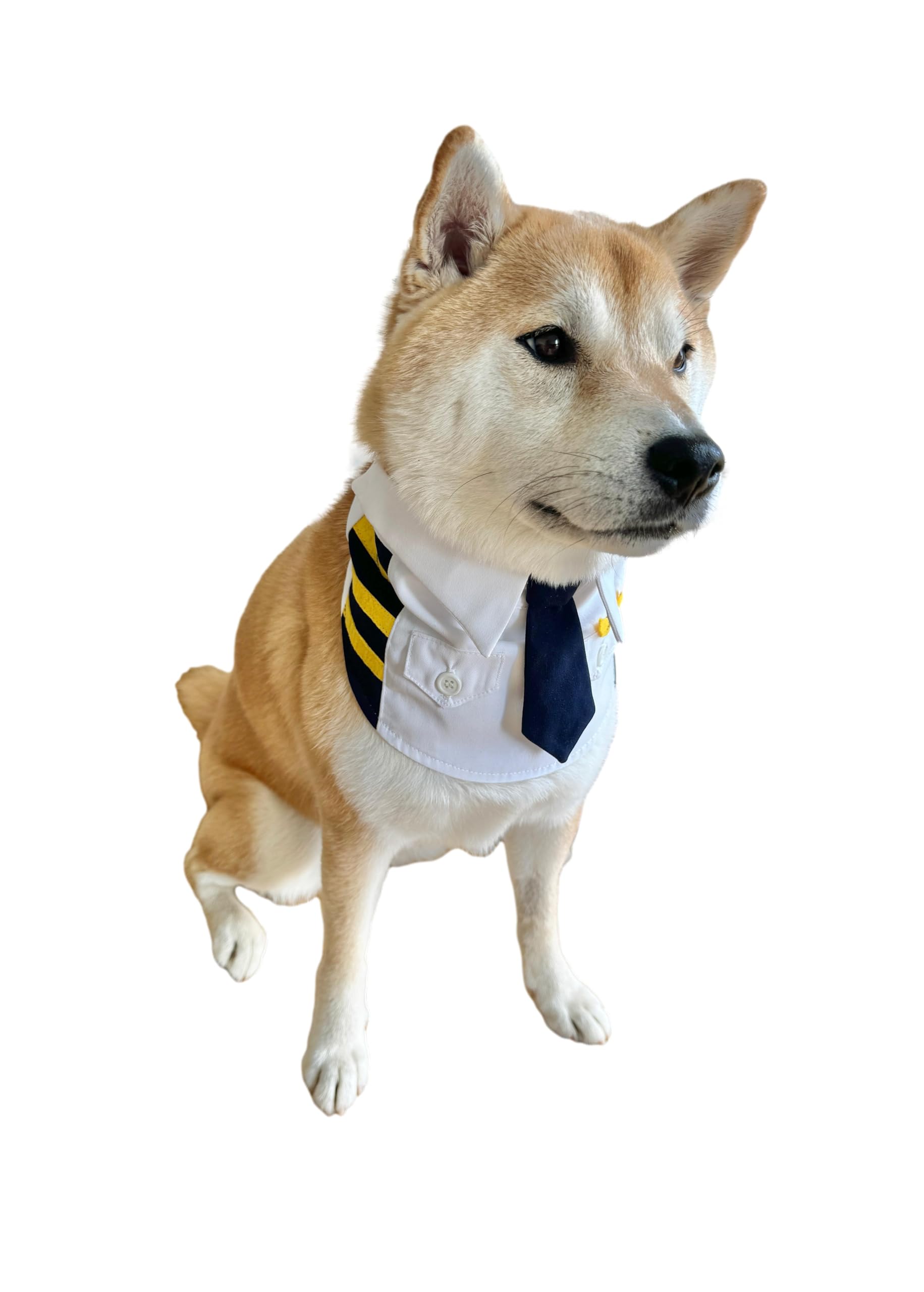 Snapklik.com : ComfyCamper Dog Pilot Costume Neckband - Captain Tie ...