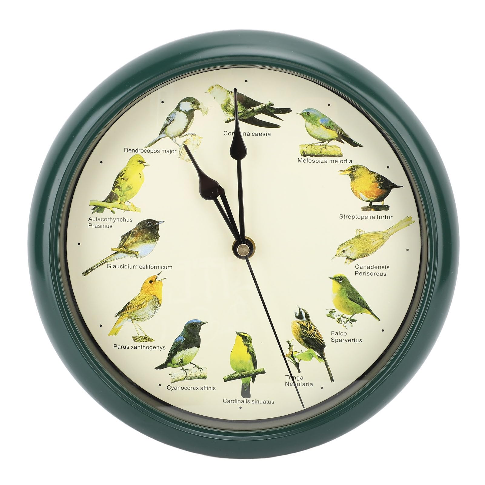 Wall Clock Birdsong Clock,Original, with 12 Native Songbirds,Silence ...