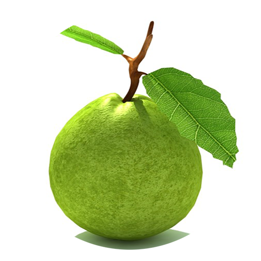 Benefits of Guava - App on Amazon Appstore