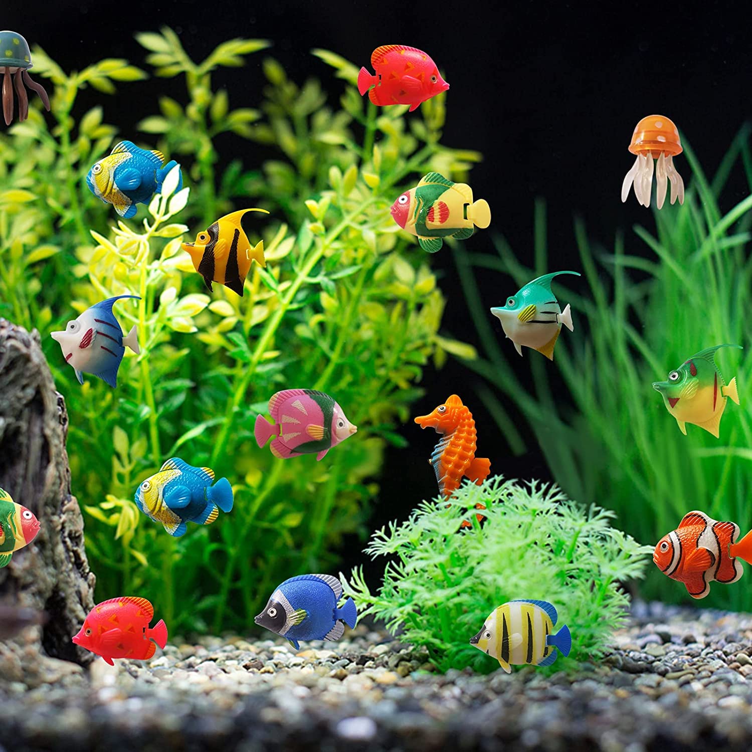 Aquarium Decoration Ideas