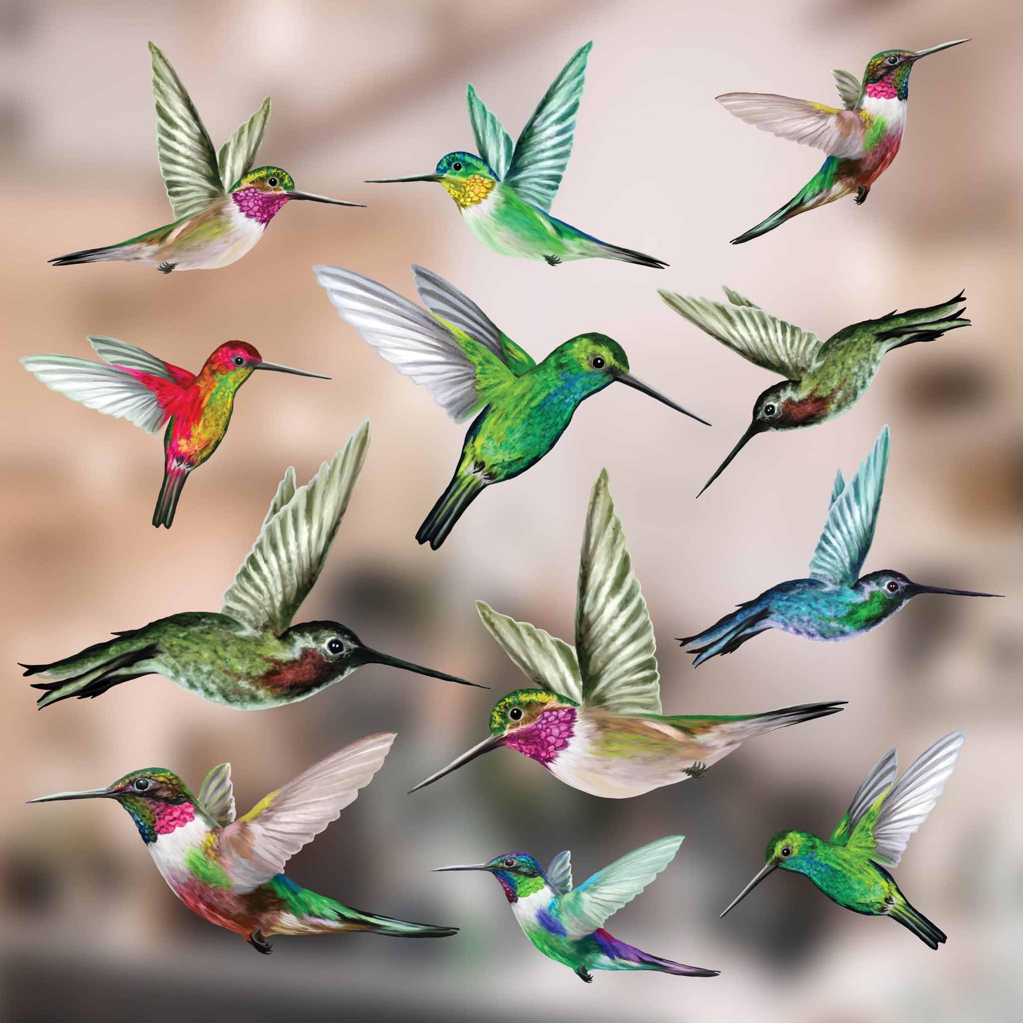 Amazon.com: 12-Pack Hummingbird Window Clings - Lifelike, Colourful ...
