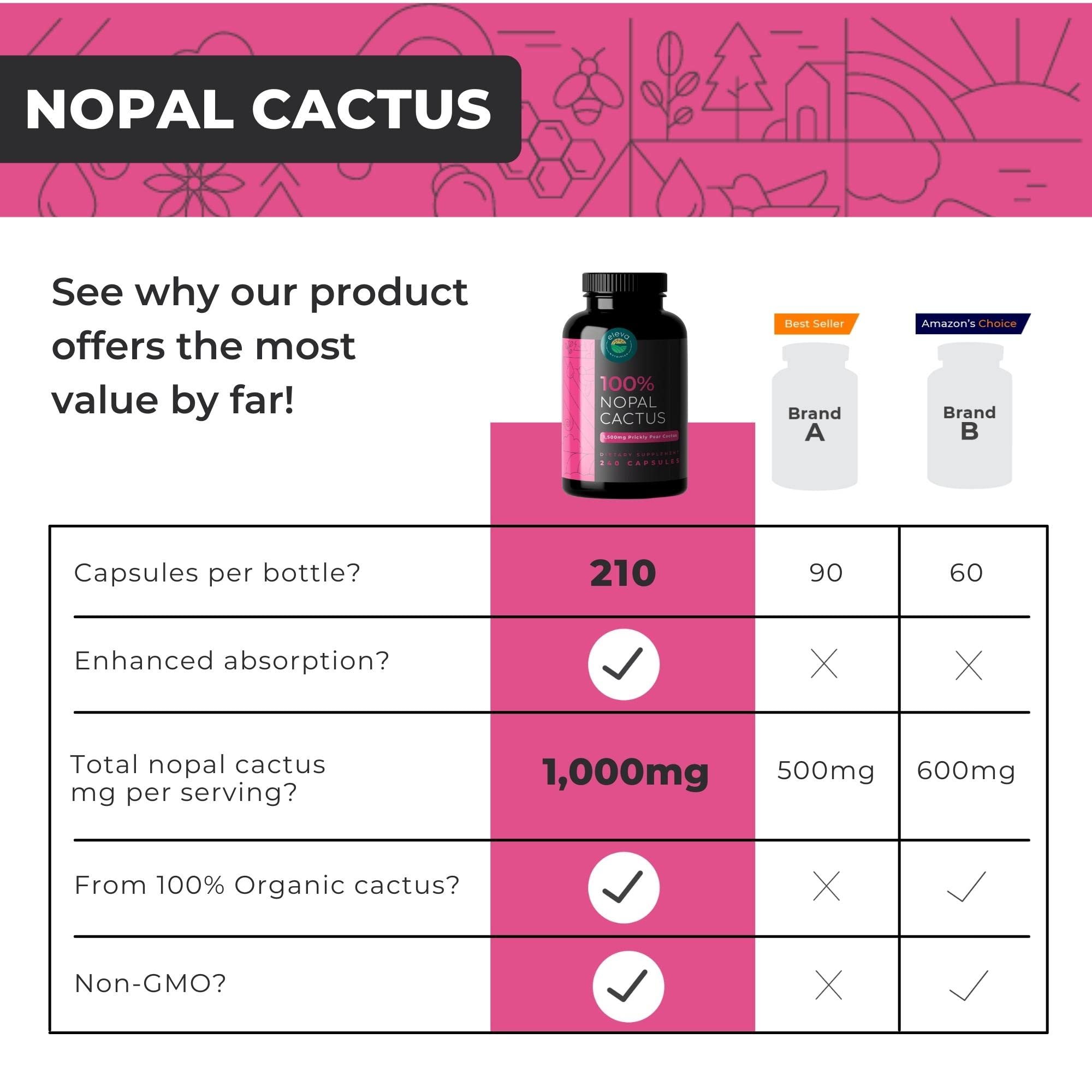 Buy Nopal Cactus Capsules 1500mg — Organic Sun-Dried Prickly Pear ...