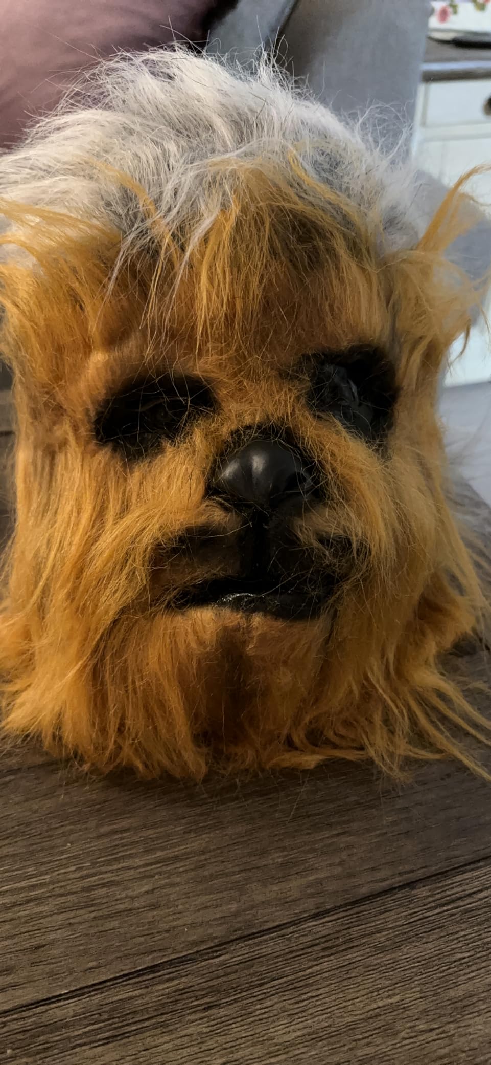 Of allllll the outfits, why go dressed as a cop??? : r/aves