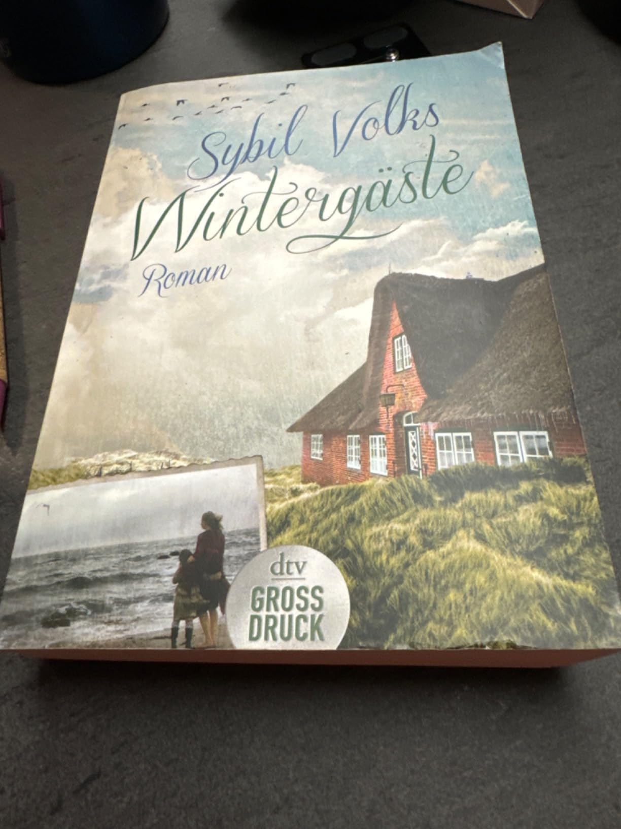 Wintergäste: Roman (Die Familie-Boysen-Reihe, Band 1) : Volks, Sybil ...