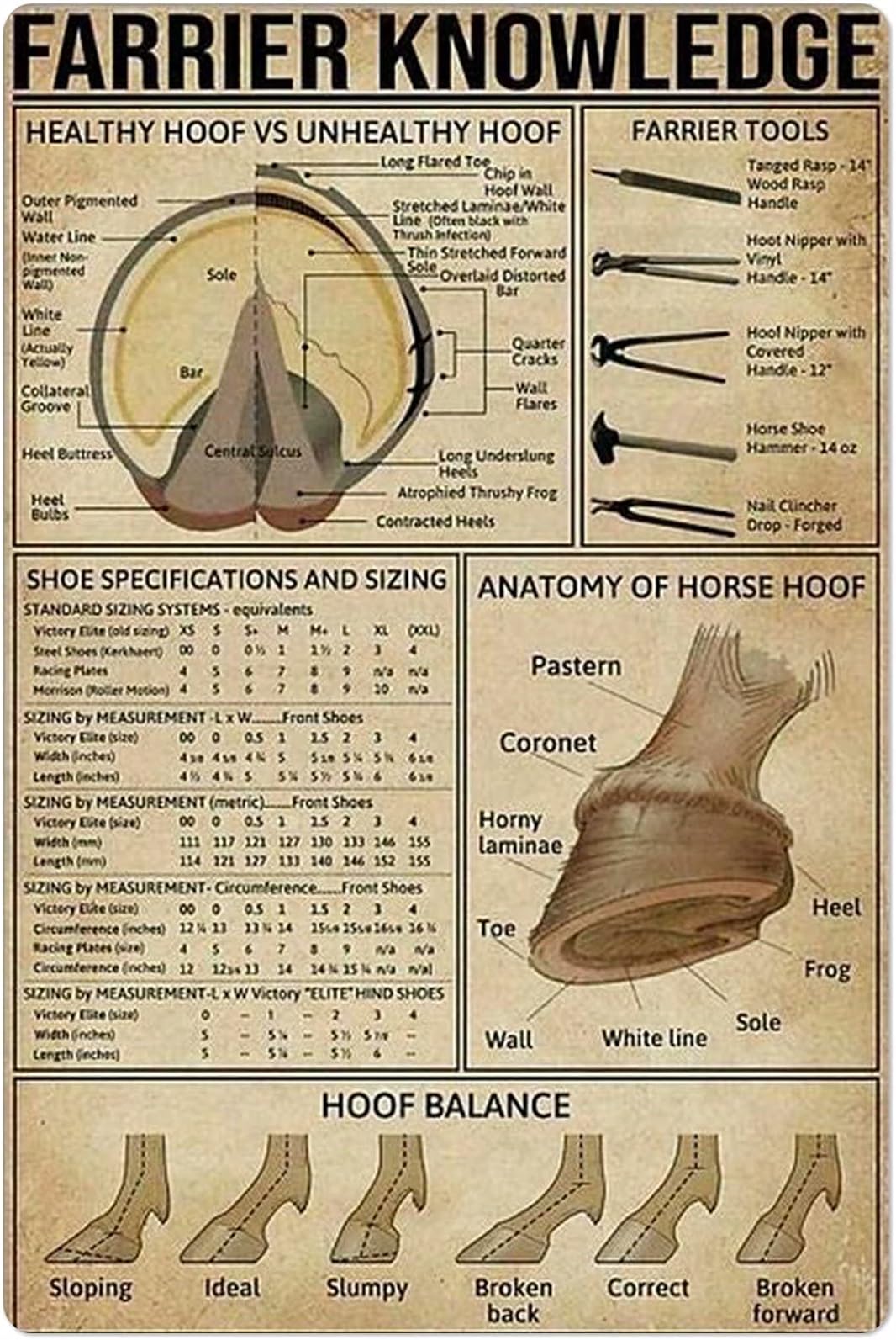Amazon.com: Farrier Knowledge Metal Tin Sign Anatomy Of Horse Hoof ...