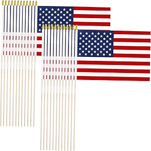Amazon.com : Blowata 24 Pieces American Flags on Stick, USA Stick Flag ...