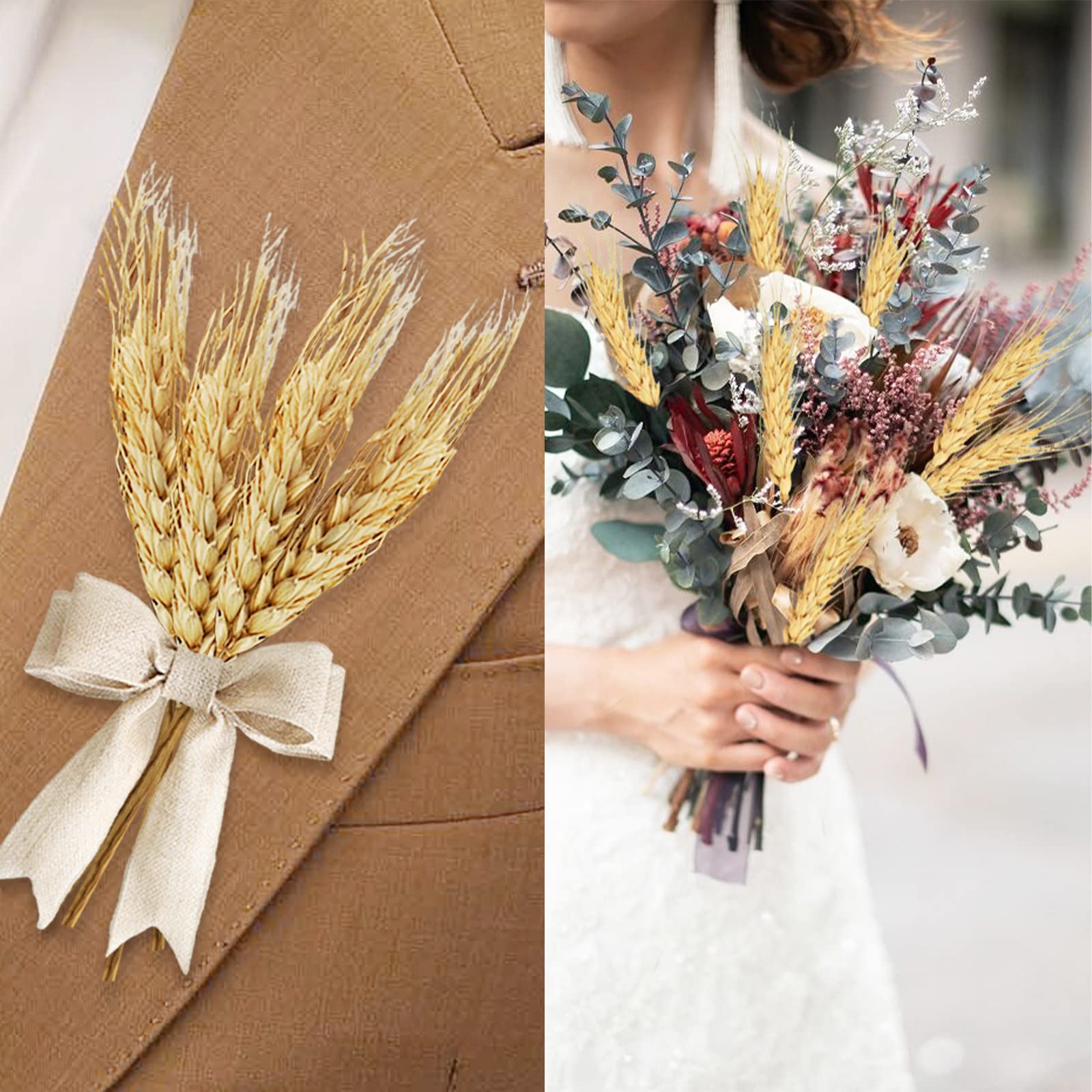 Spring Wheat Wedding MHMJON 500 Pcs Dried Wheat Stalks Golden Natural