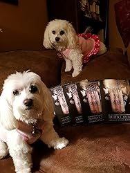 Sheep No More: The Art of Awareness and Attack Survival: Gilliam ...