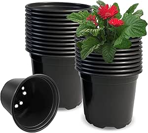Amazon.com: RAOOKIF 24 Pcs 1 Gallon Pots for Plants, 1 Gallon Nursery ...