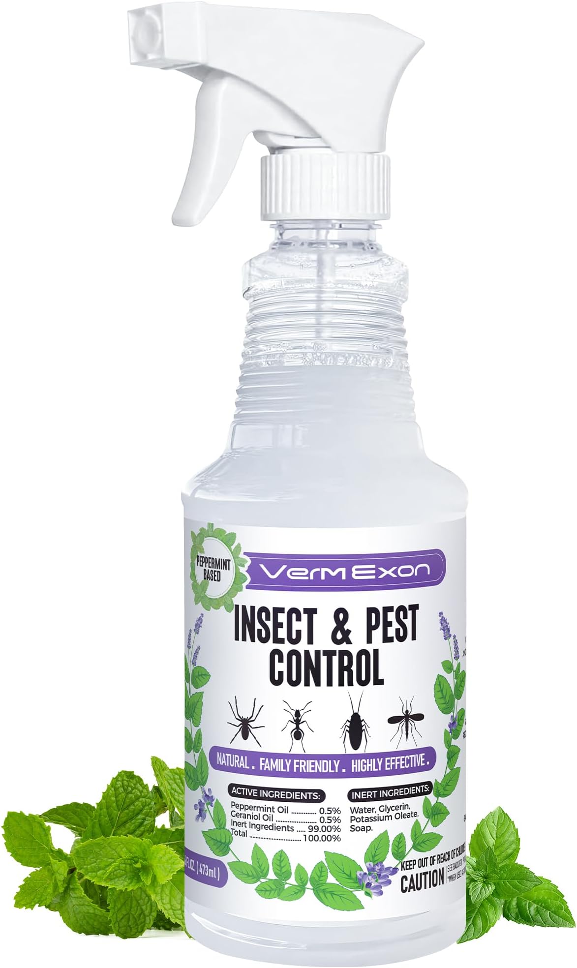 Amazon.com: Catcher Labs Natural Insect Spray for Indoor and Outdoor ...